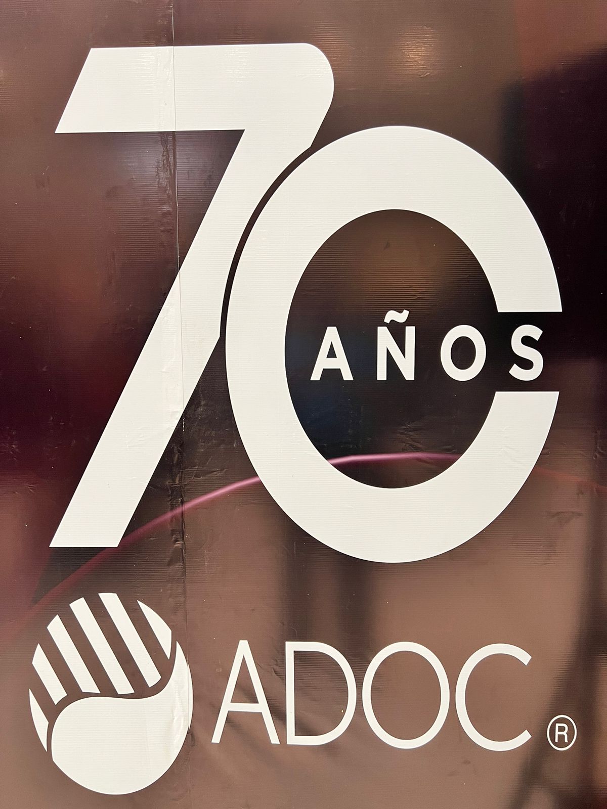 ADOC cumple 70 años de pasión por el calzado - Centroamérica Economía